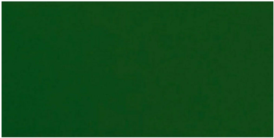 El Color Liso Verde Conjunto De 2 Cojines Decorativos UDALA Terciopelo